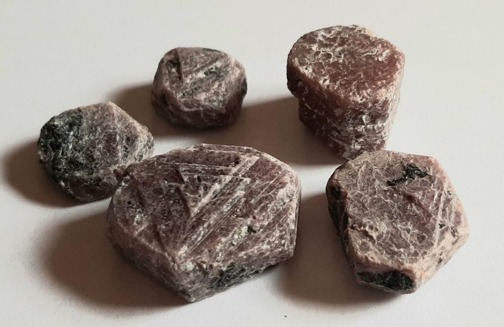 Ruby Record Keeper - Saralee Hofrichter