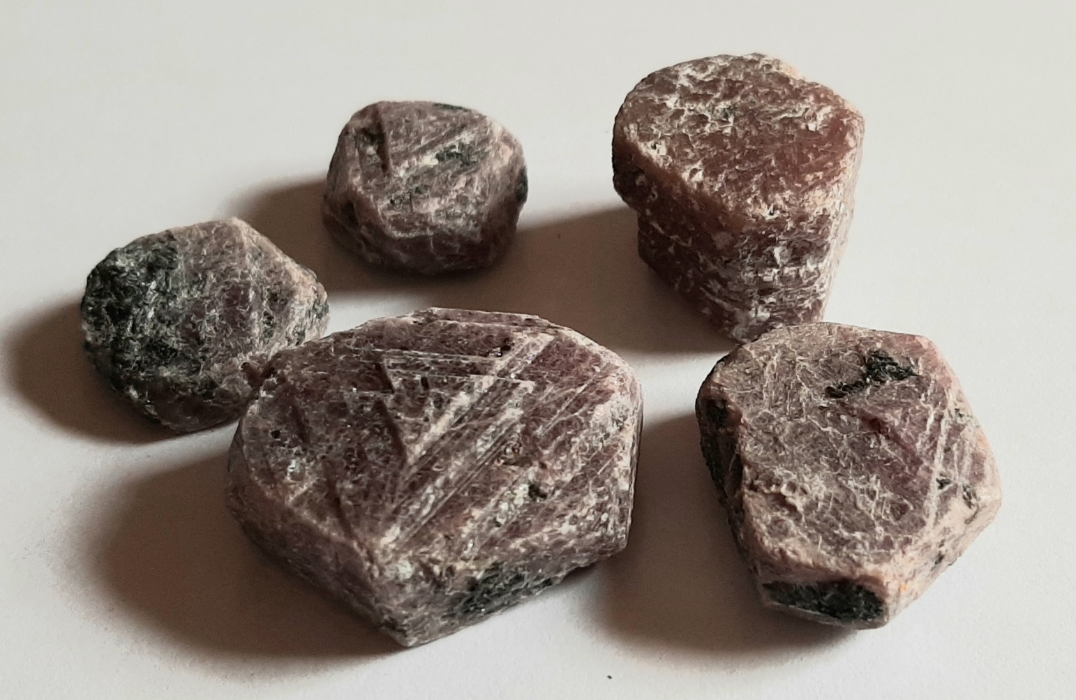 Ruby Record Keeper - Saralee Hofrichter